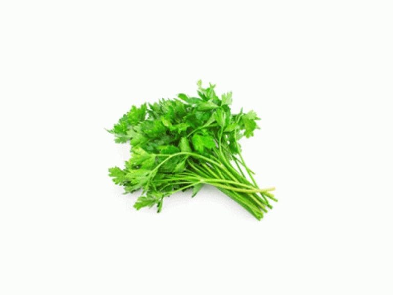 ΜΑΙΝΤΑΝΟΣ(10kg)ΒΕΛΓΙΟΥ | Apostolidis Foods